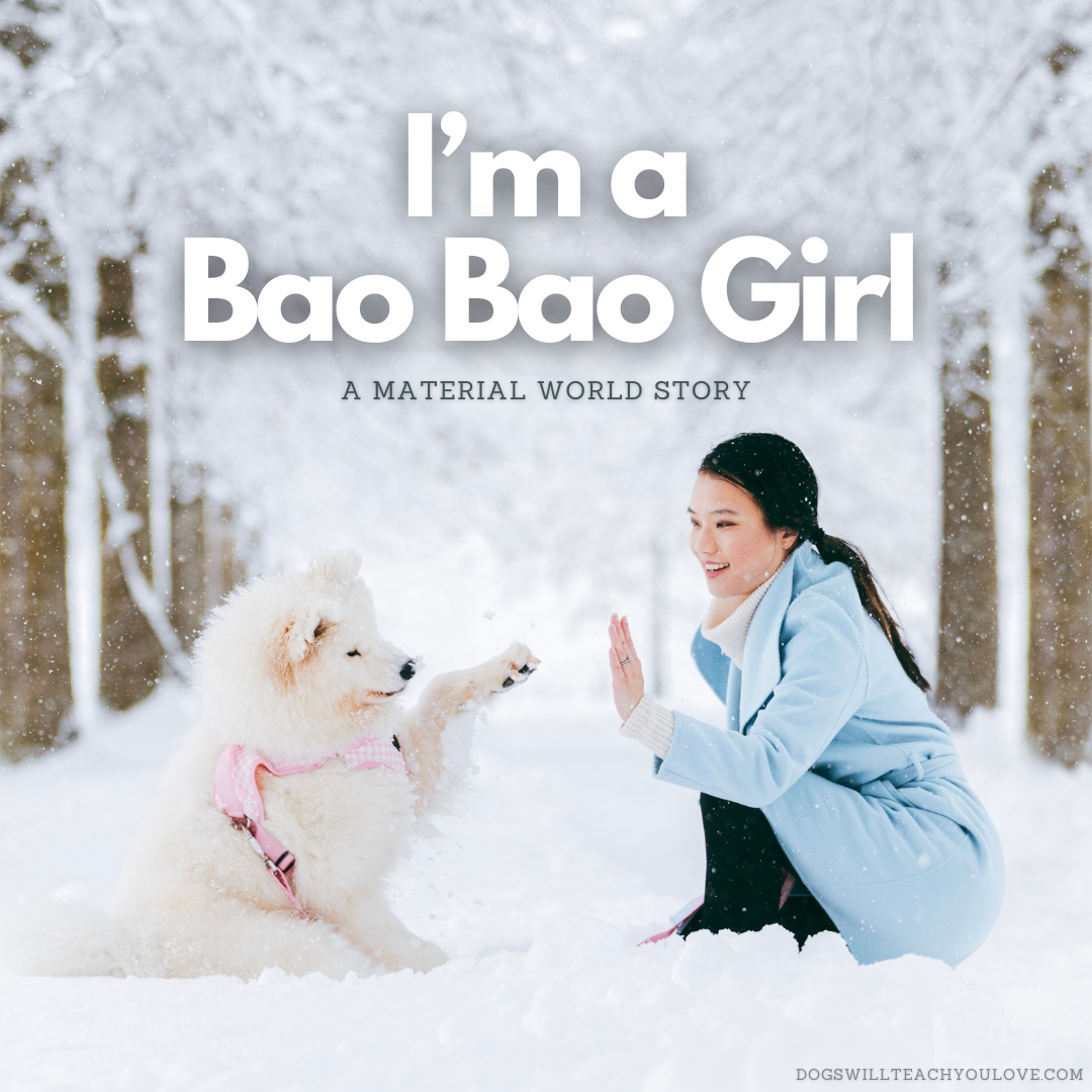 Dogs Will Teach You Love – A collection of stories that highlight the ...